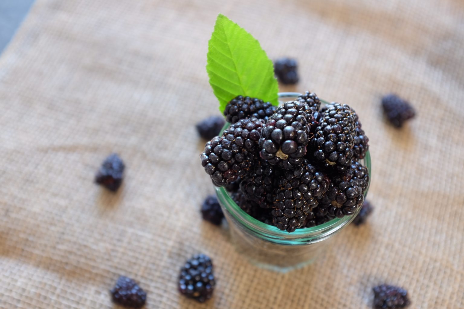 Berrymobile - Vancouver's Local Fresh Fruit Distributors